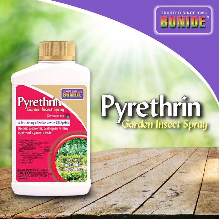 Bonide Pyrethrin Garden Insect Spray Concentrate – Rivendell Distribution
