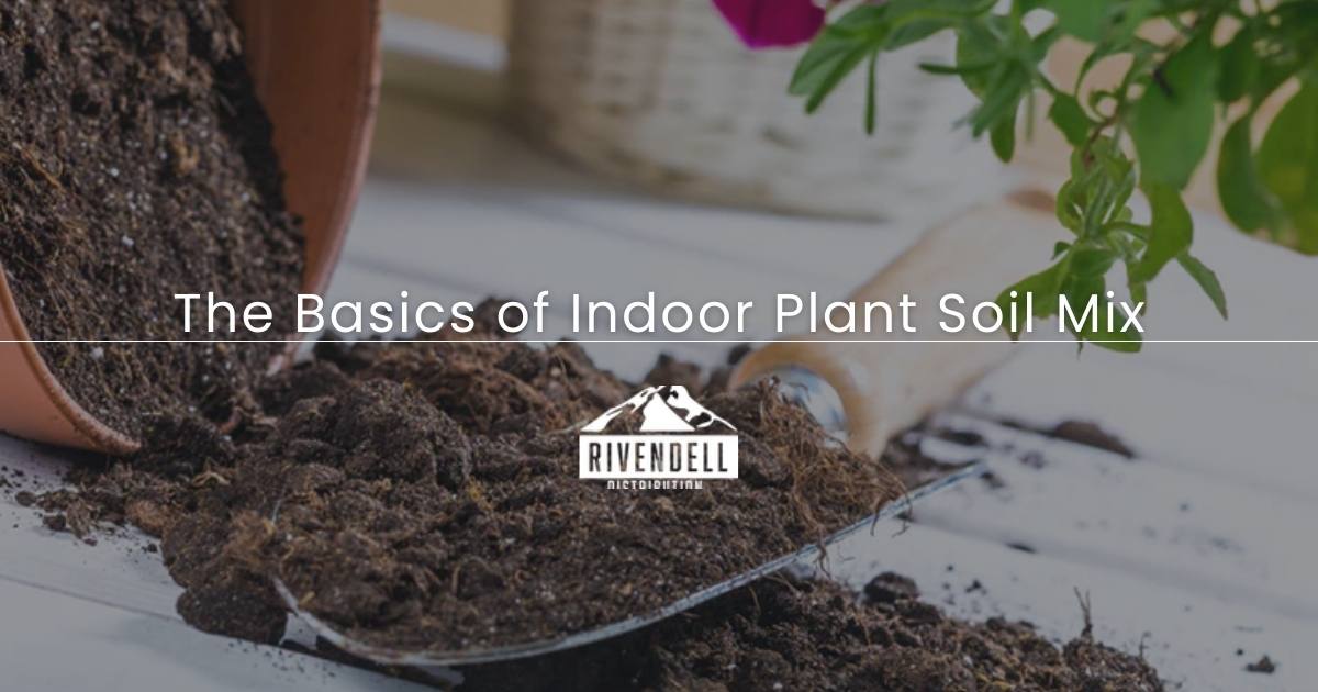 Learn the Basics of Indoor Plant Soil Mix – Rivendell Distribution