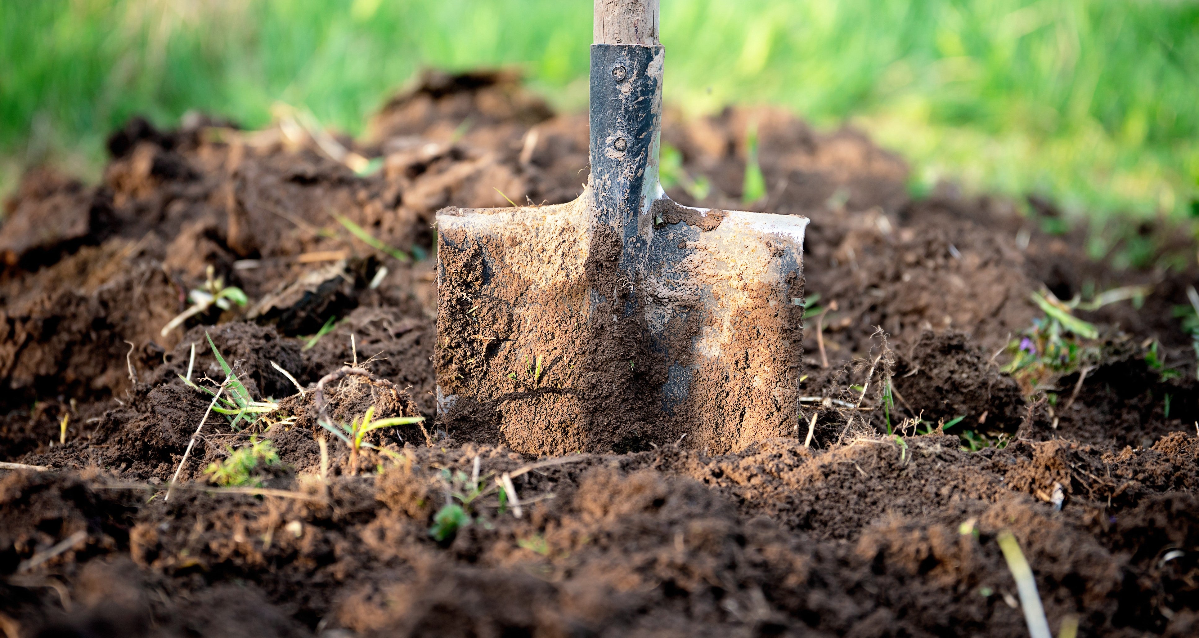 Long Handle Garden Tools | Garden & Landscape Tools – Rivendell ...