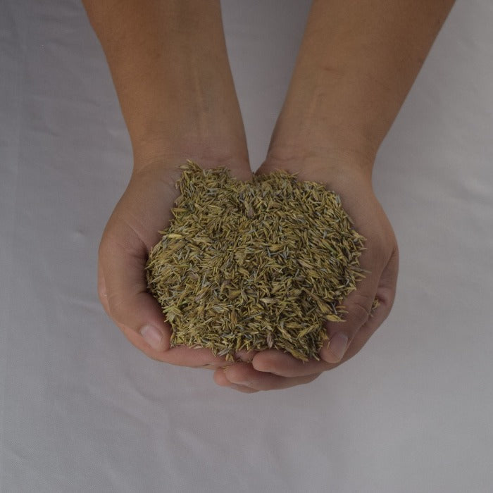 Rivendell's Native Low Grow Seed Mix – Rivendell Distribution